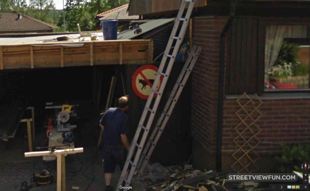 Cat lover? - STREETVIEWFUN