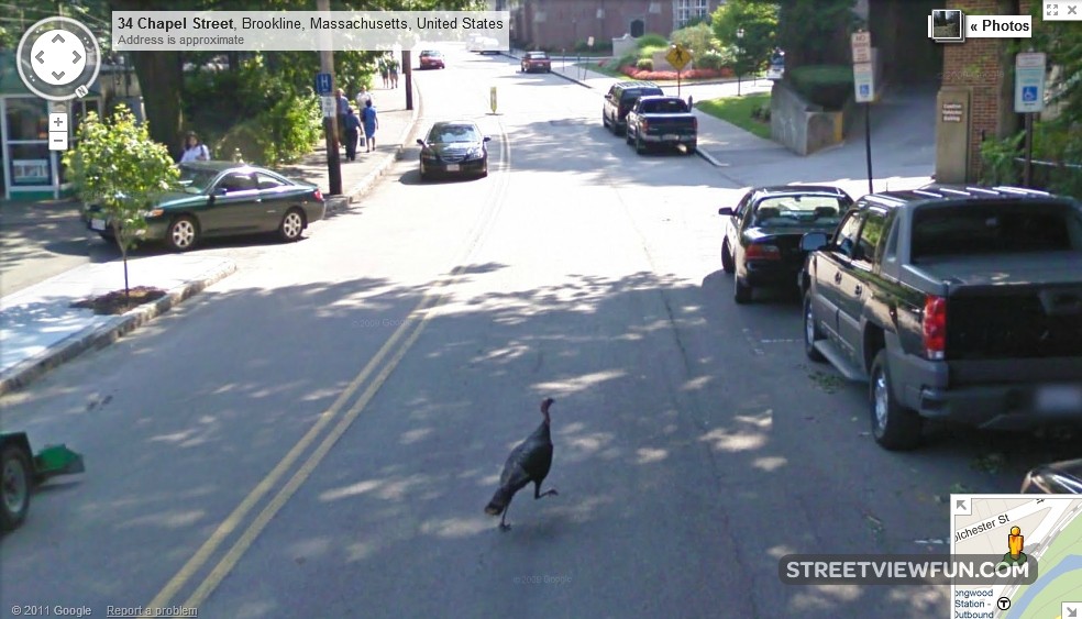 Happy Thanksgiving! – StreetViewFun