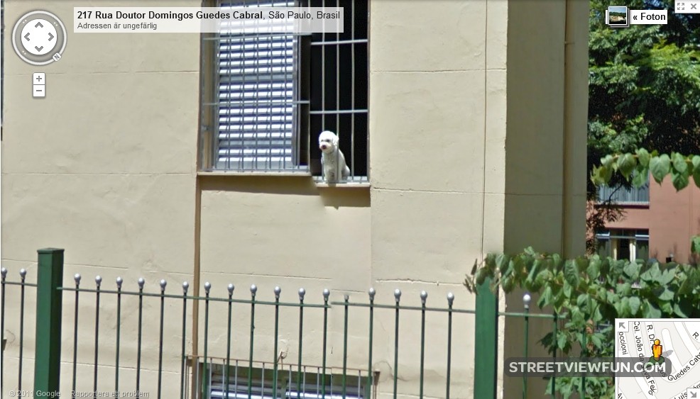 Sorry dog! No escape on this side - STREETVIEWFUN