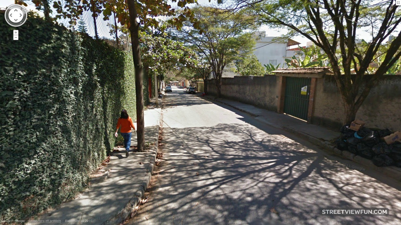 It's risky to take a step forward on Google Maps StreetView... - STREETVIEWFUN