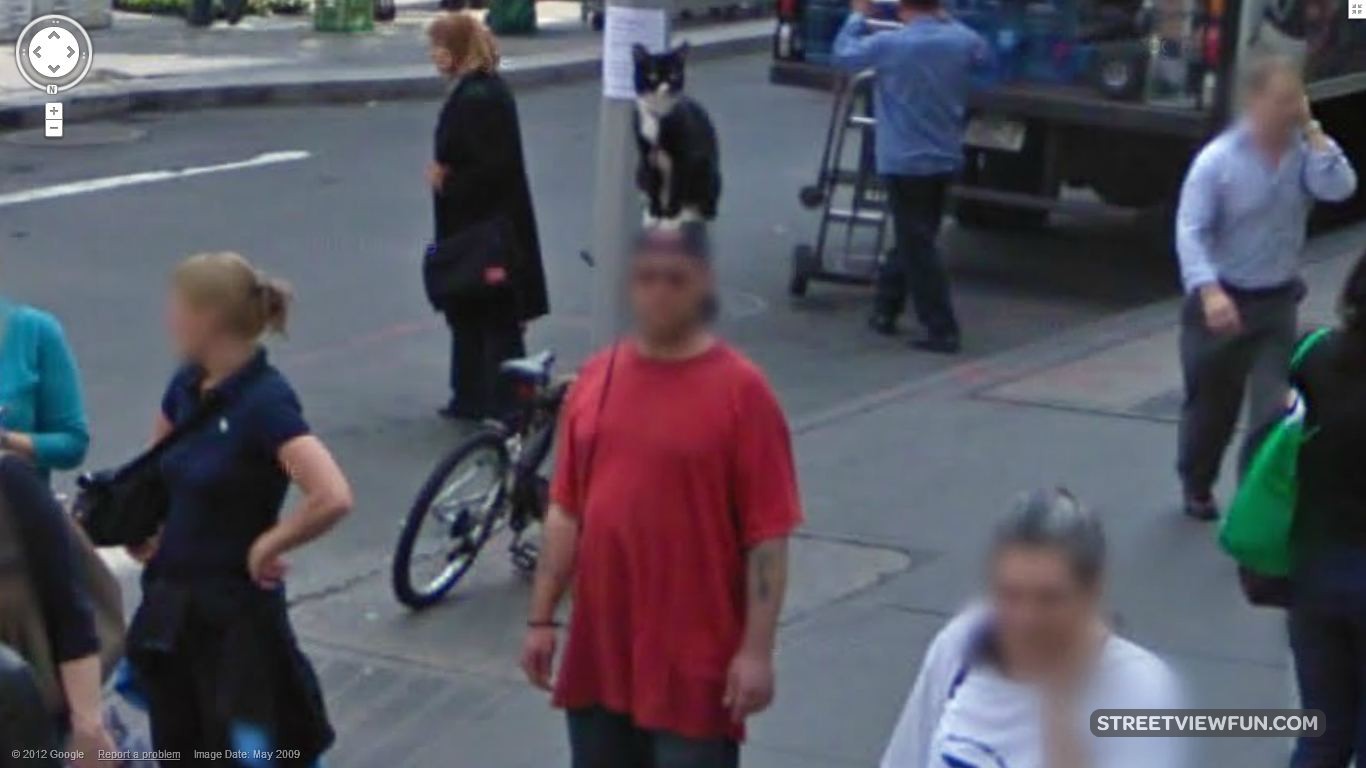WEIRDEST GUYS ON GOOGLE MAPS STREET VIEW! - STREETVIEWFUN