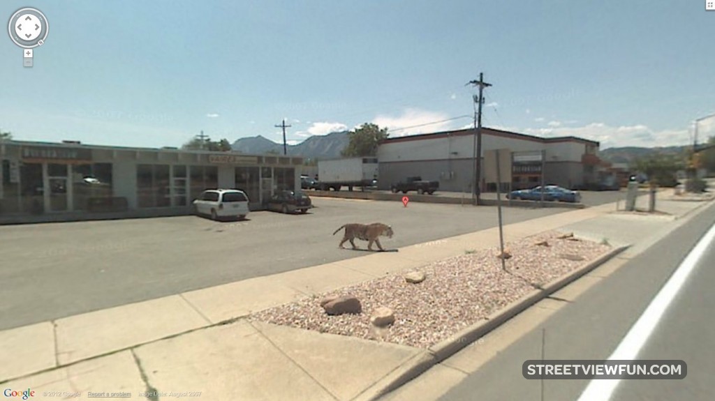 18 Scariest Street View images - STREETVIEWFUN