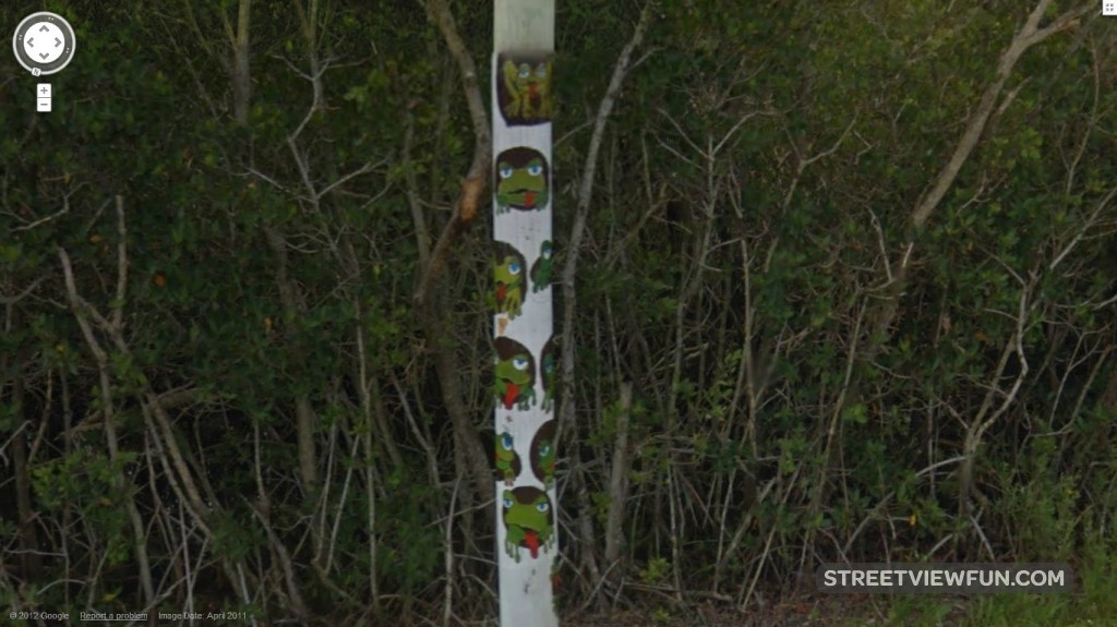 Frog Pole - STREETVIEWFUN