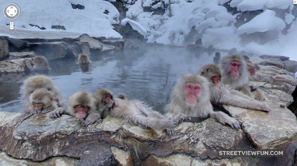 Amazing Hot tub monkeys in Japan - STREETVIEWFUN