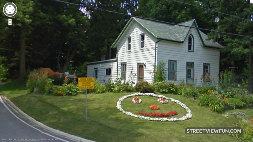 garden Archives - STREETVIEWFUN