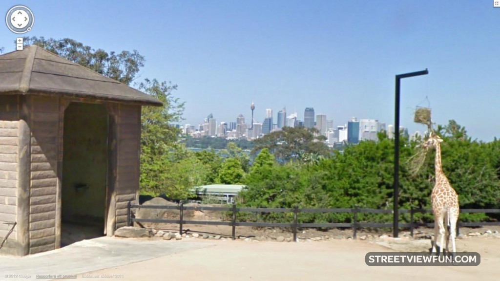 Zoo View Australia now on Google Maps StreetView - STREETVIEWFUN