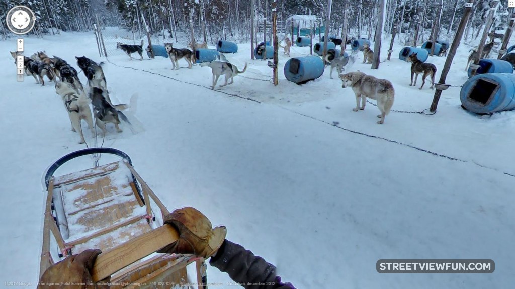 Google Maps Street View pulled by sled dogs in Canada - STREETVIEWFUN