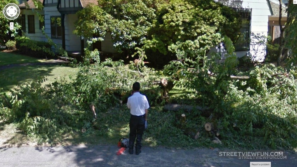 Cutting down trees - STREETVIEWFUN