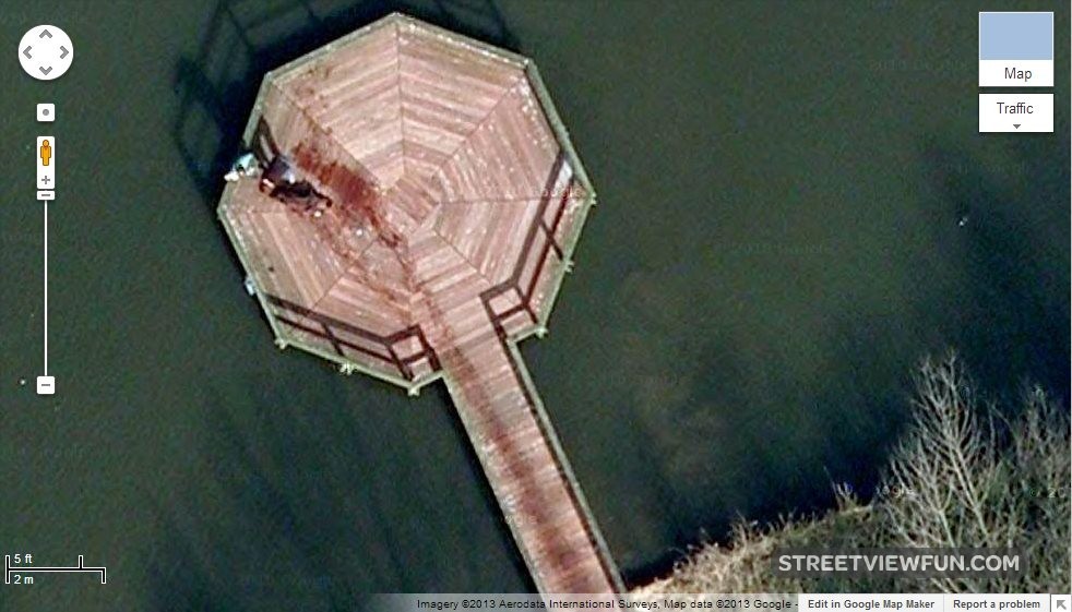 Giant Fish On Google Earth