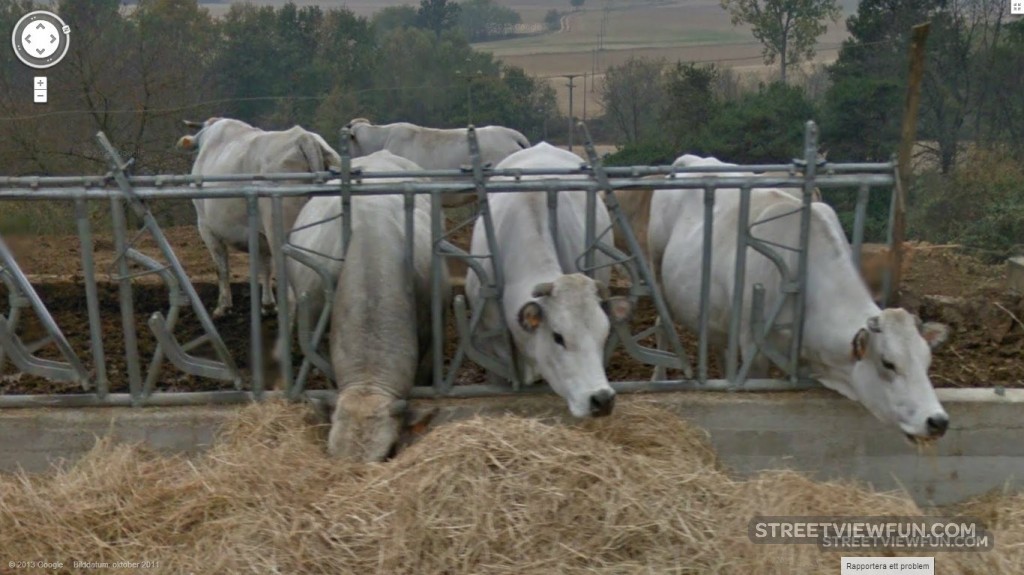 Google Farm View - STREETVIEWFUN