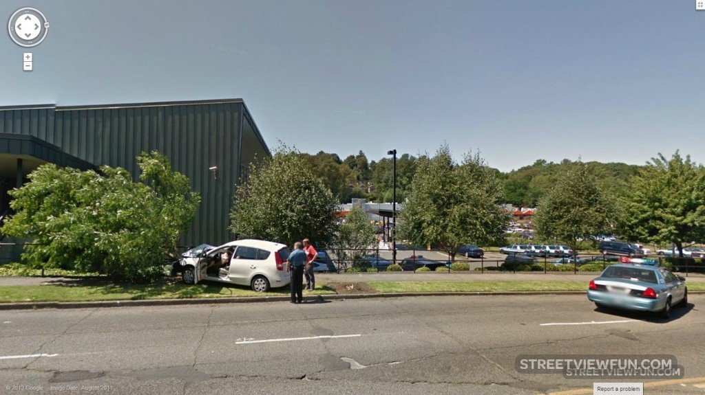 Driving into a tree - STREETVIEWFUN