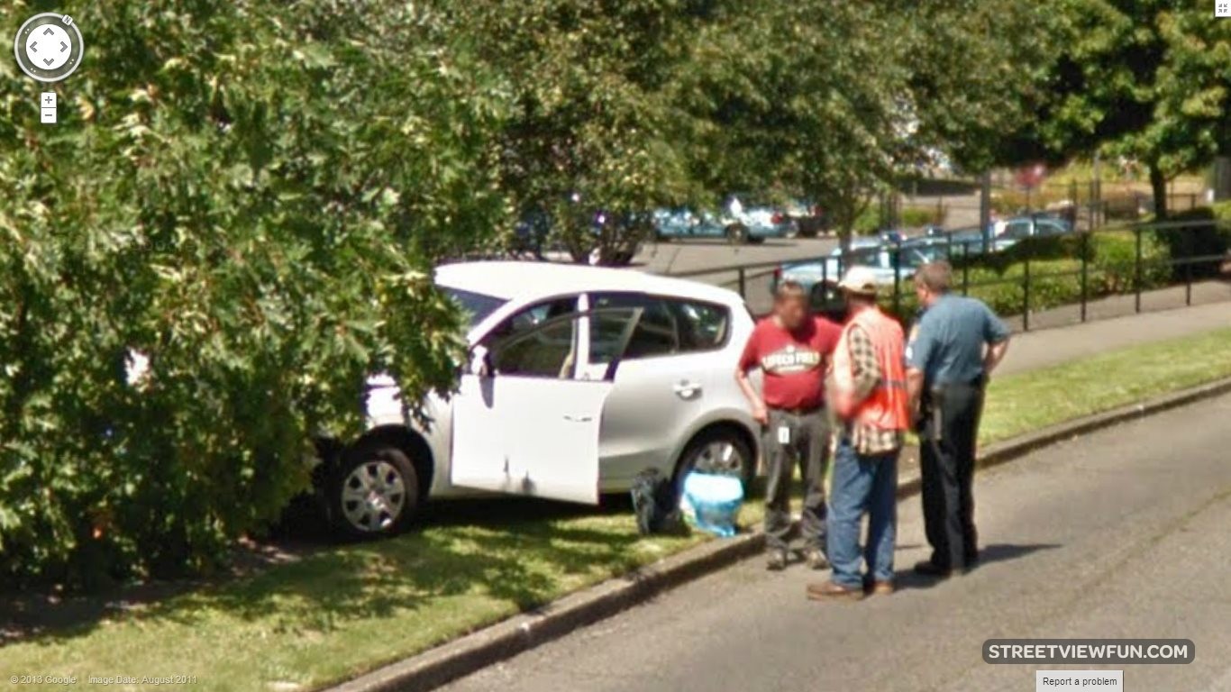 Driving into a tree - STREETVIEWFUN