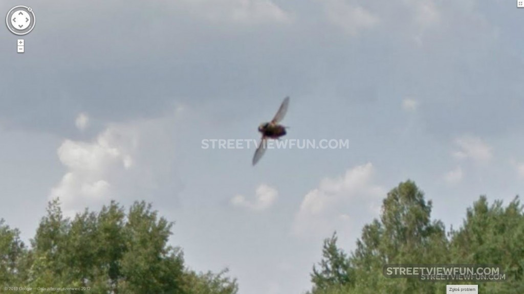 Fly - STREETVIEWFUN