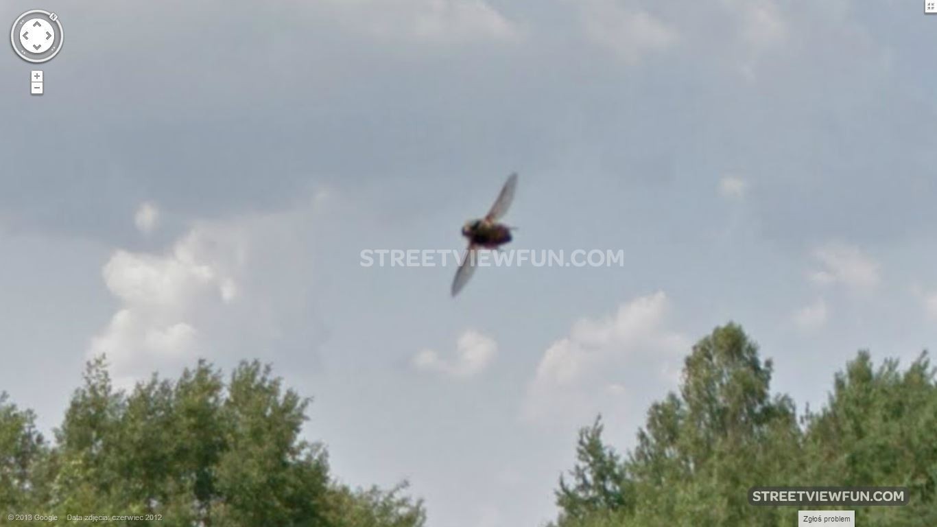 Fly - STREETVIEWFUN