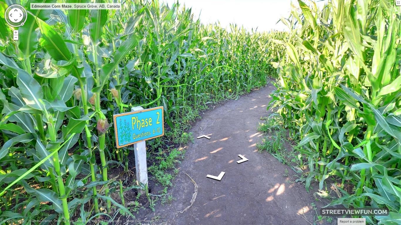Corn Maze Challenge on Google Street View - STREETVIEWFUN