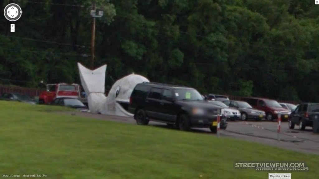 Check out the whale car – STREETVIEWFUN