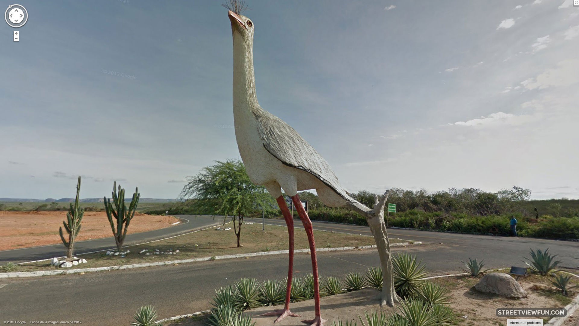 Big bird in Brazil - STREETVIEWFUN