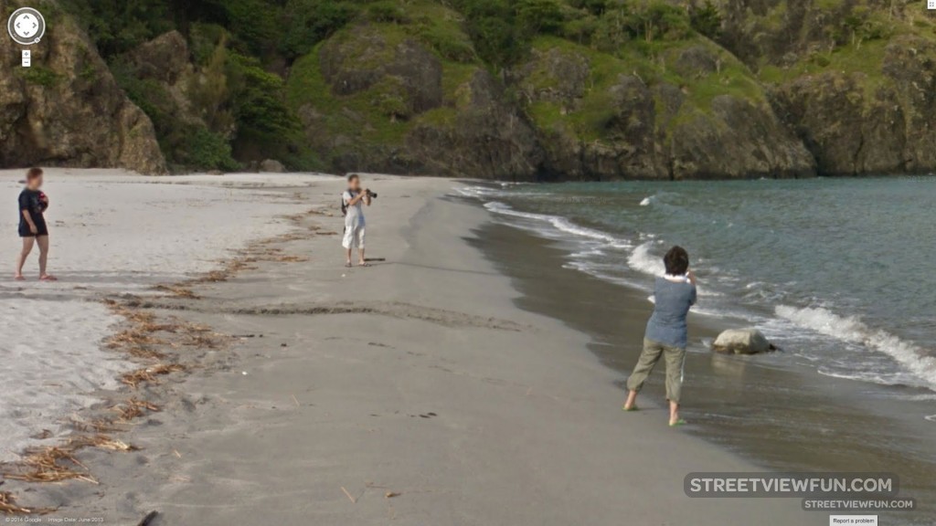 Sea turtle leaving the beach - STREETVIEWFUN