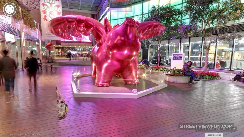 And pigs might fly... - STREETVIEWFUN