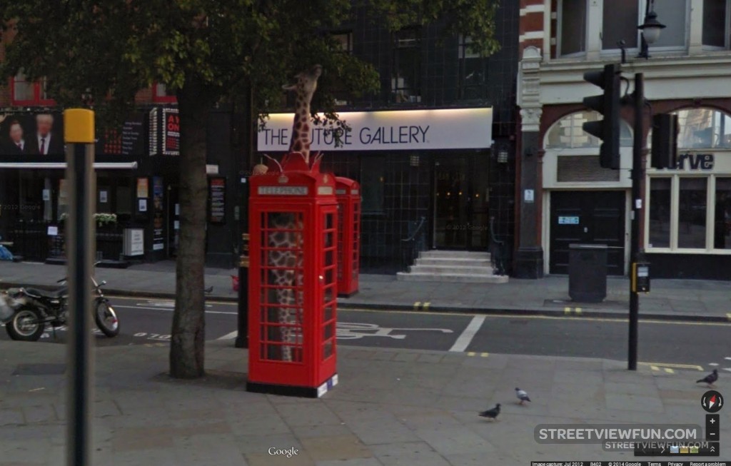 Giraffe in a phone box - STREETVIEWFUN