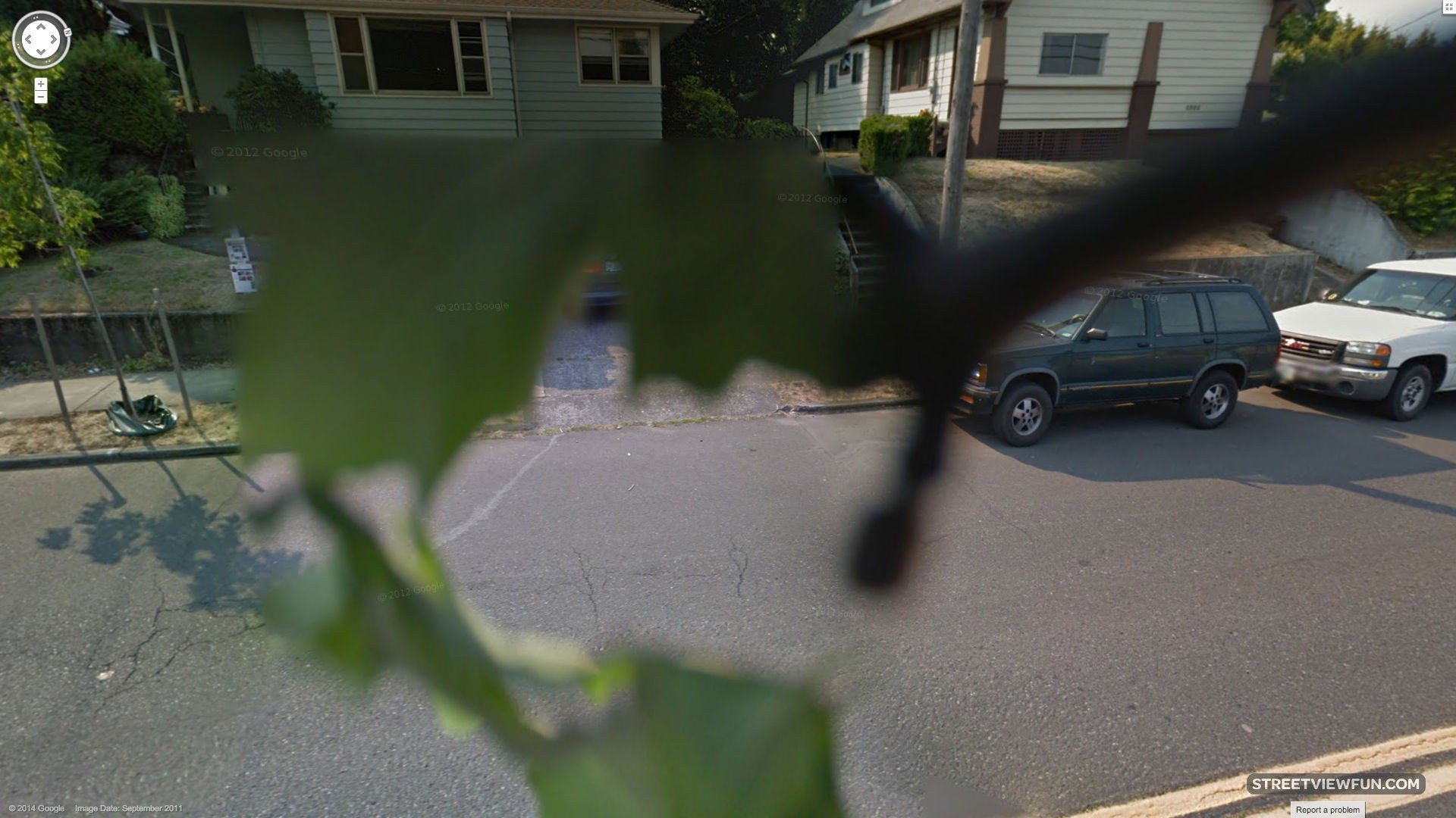 Google Leaf View - StreetViewFun
