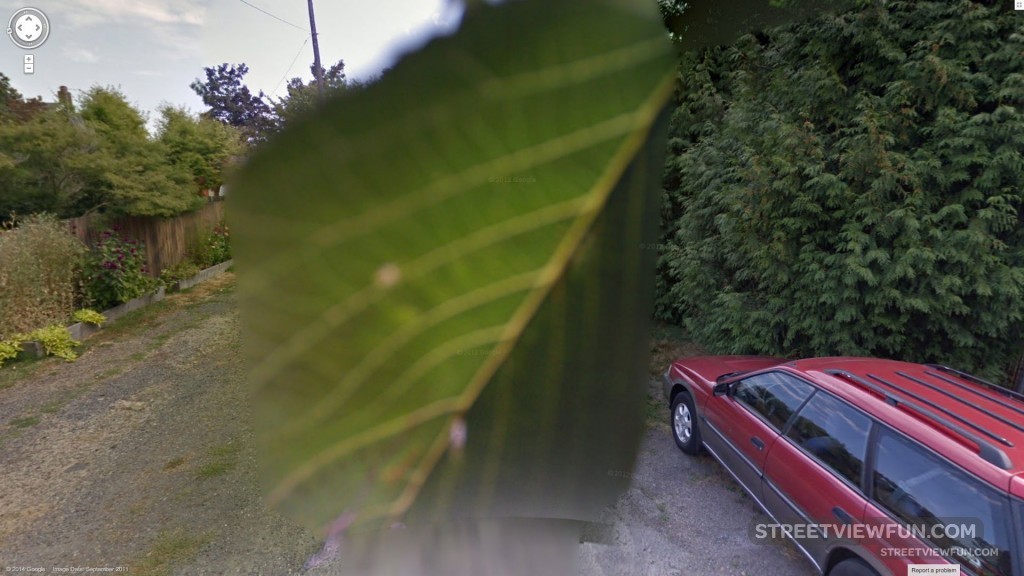 Google Leaf View - StreetViewFun