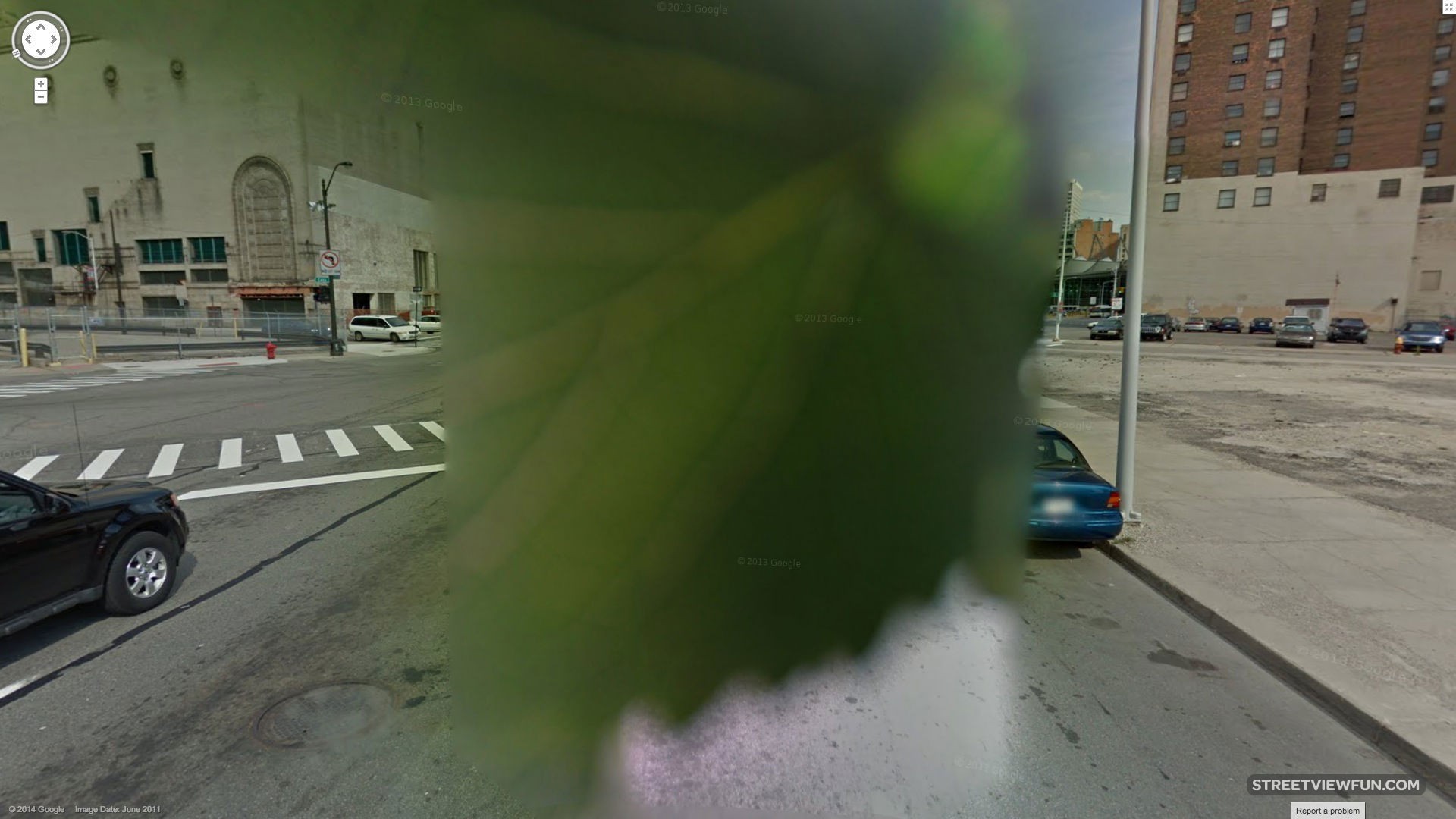 Leaf View - STREETVIEWFUN