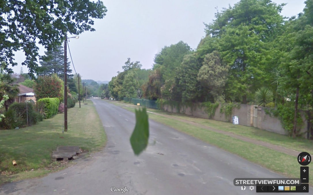 The leaf monster - STREETVIEWFUN