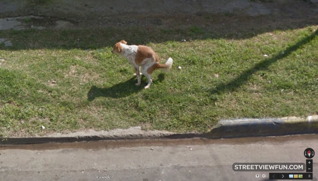 Guilty? - STREETVIEWFUN