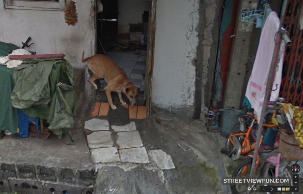 Jumping down - STREETVIEWFUN