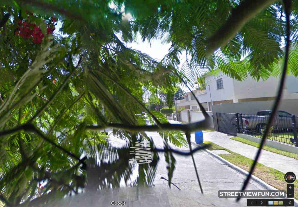 Tangled in a tree - STREETVIEWFUN