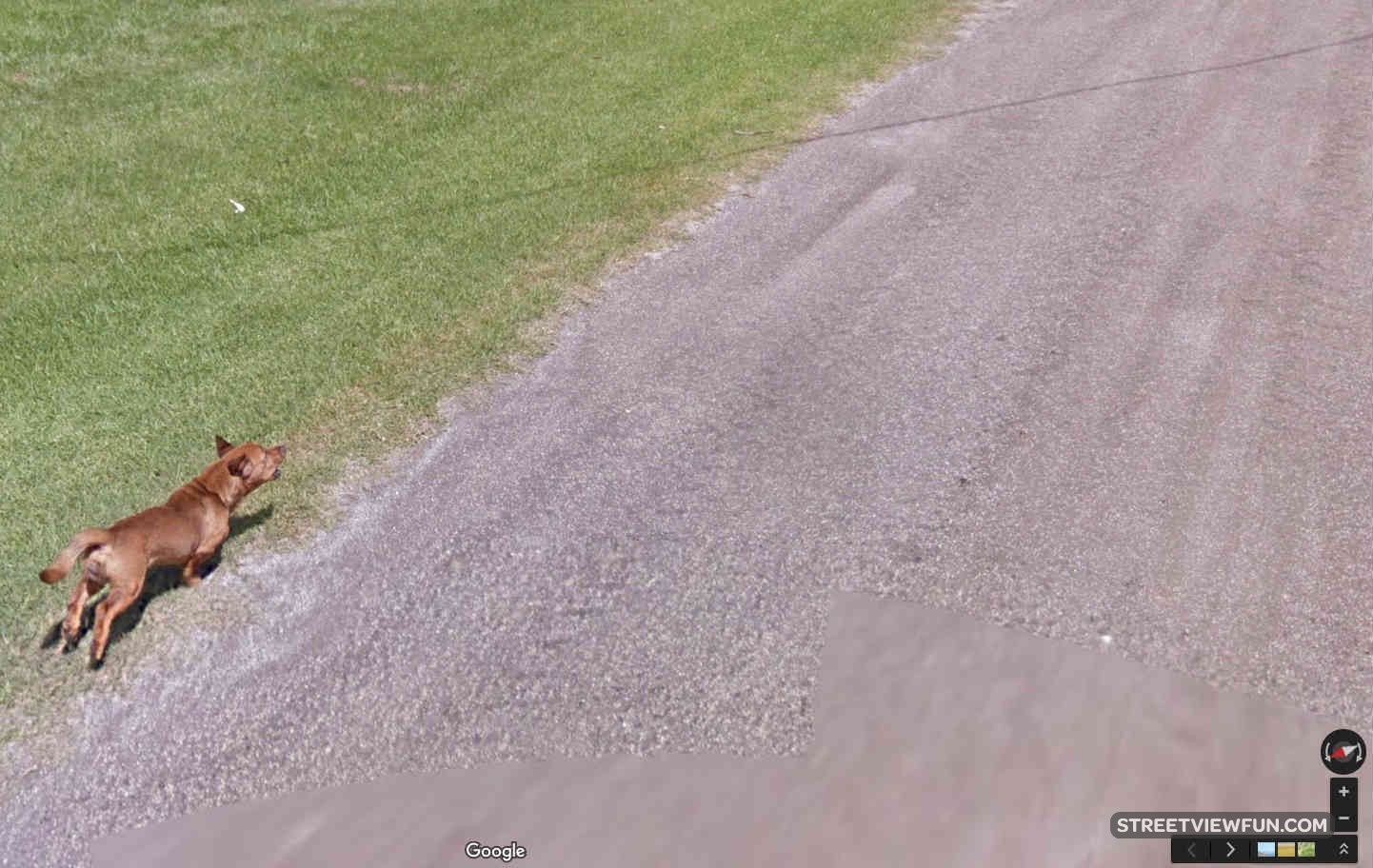 Dog chasing off Google car - STREETVIEWFUN