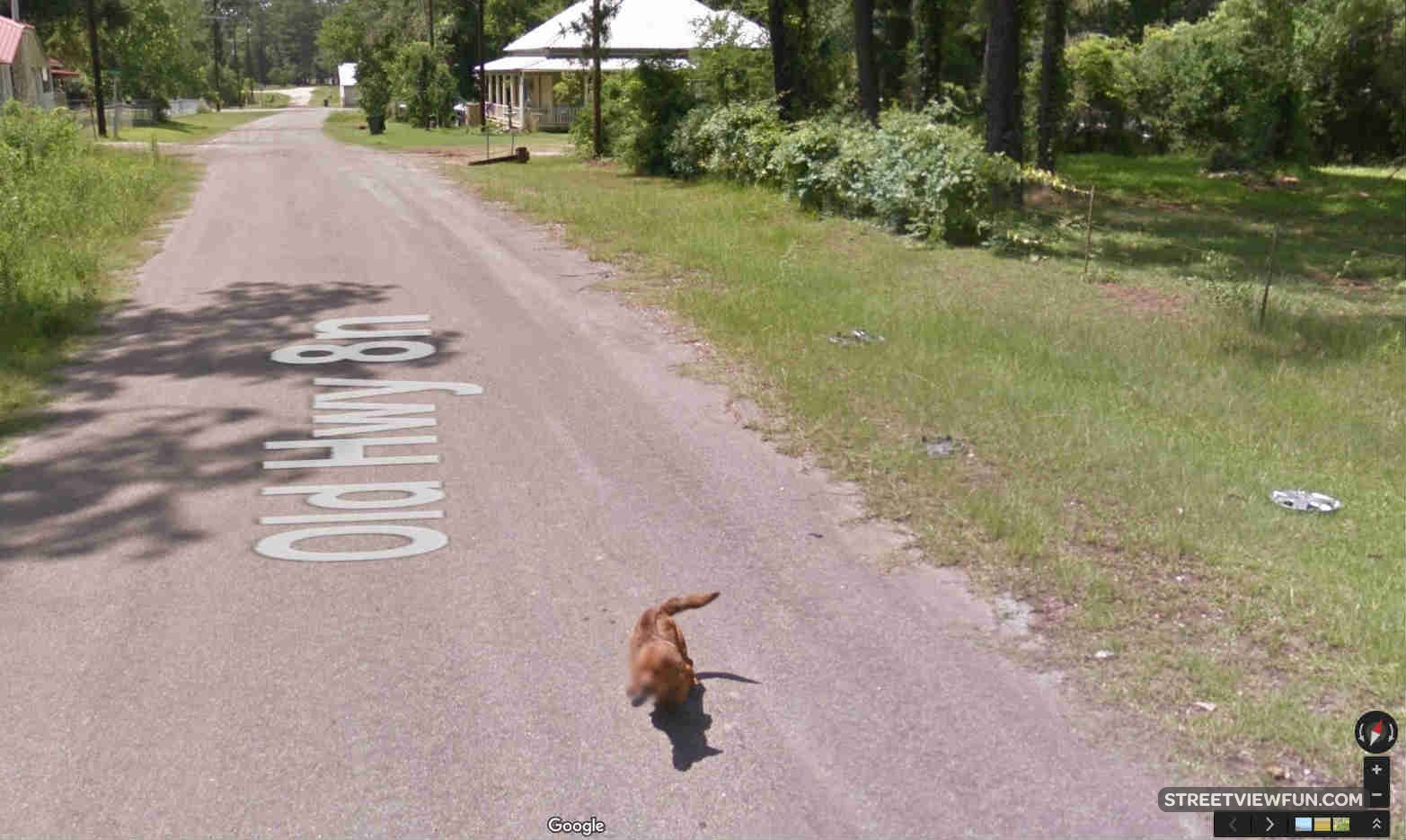 Dog chasing off Google car - STREETVIEWFUN