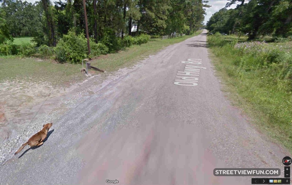 Dog chasing off Google car - STREETVIEWFUN