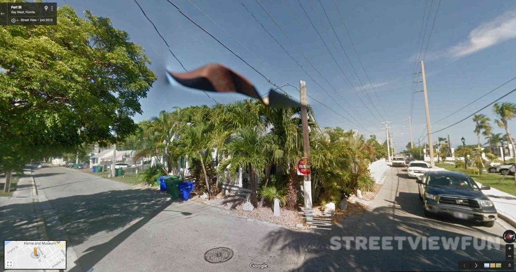 Leaf? - STREETVIEWFUN