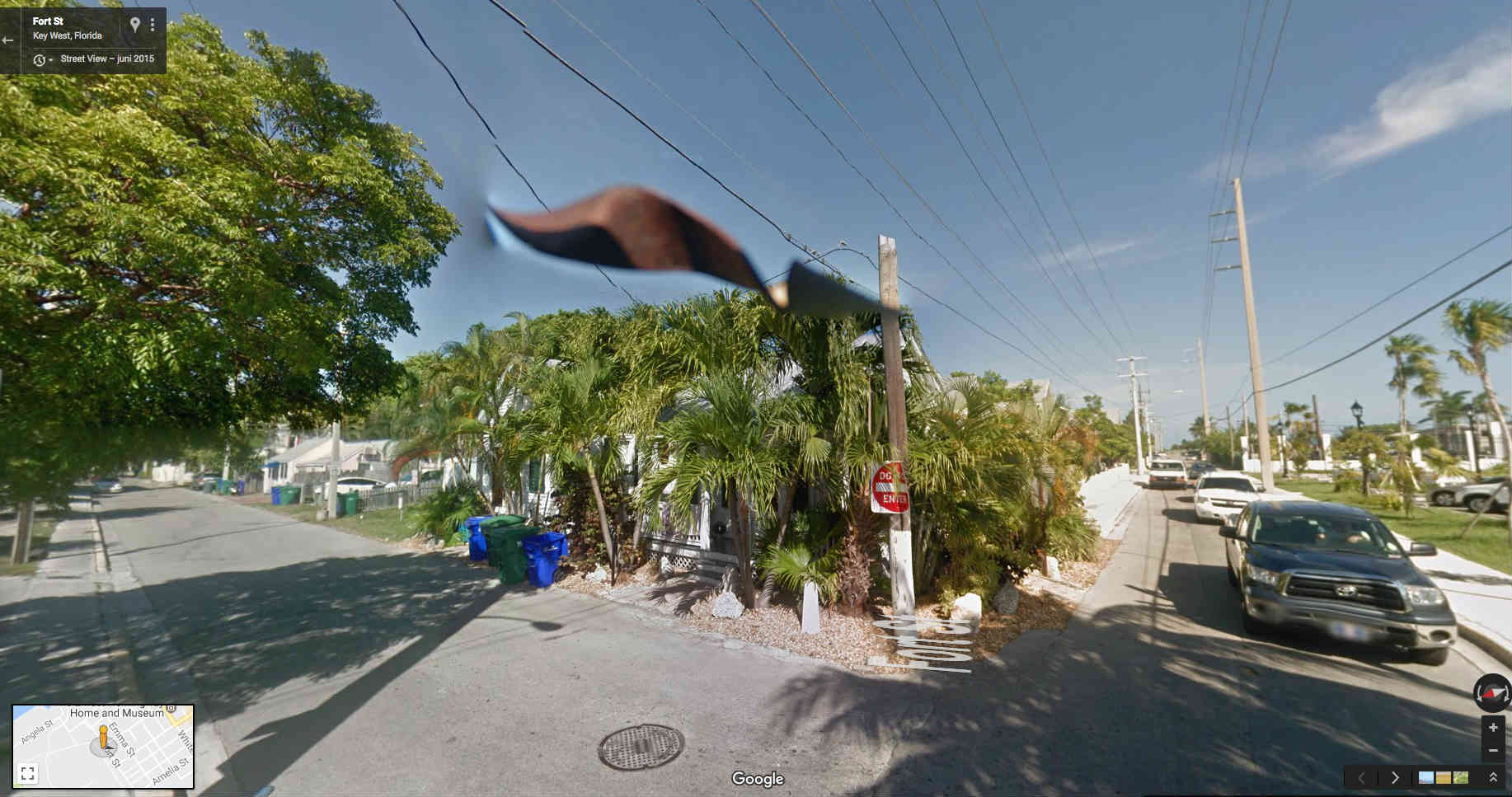 Leaf? - STREETVIEWFUN