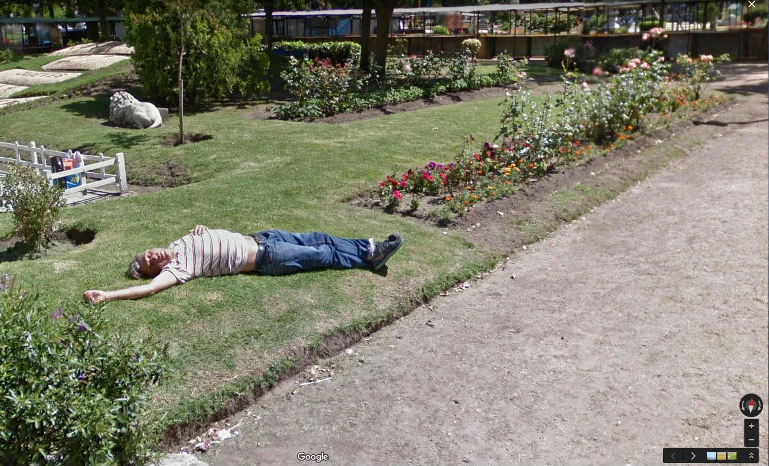 Sleeping beauty - STREETVIEWFUN