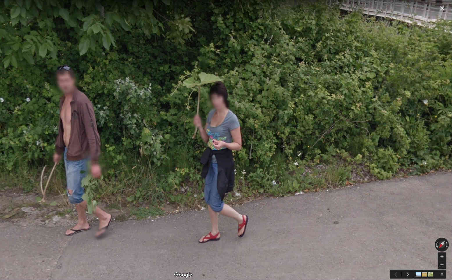 Leaf umbrella - STREETVIEWFUN