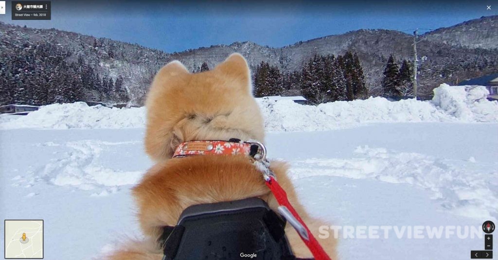 Google Dog View Japan - STREETVIEWFUN