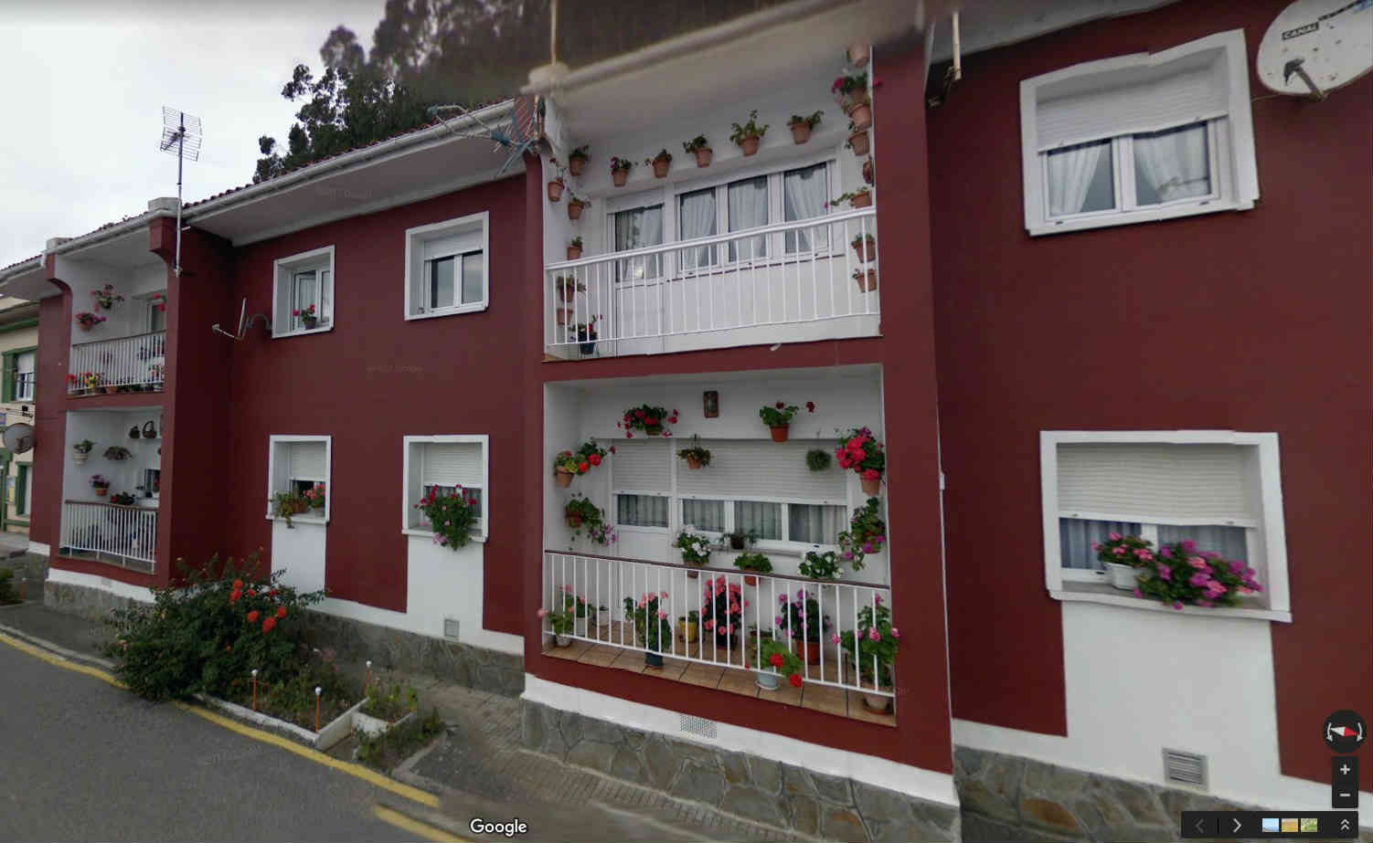 Flowers... - STREETVIEWFUN