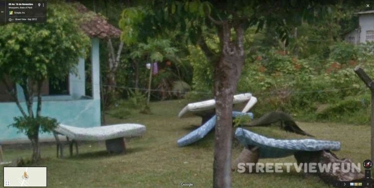 garden Archives - STREETVIEWFUN