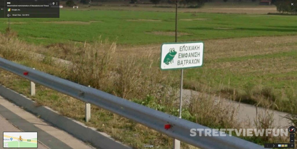 Frogs... - STREETVIEWFUN