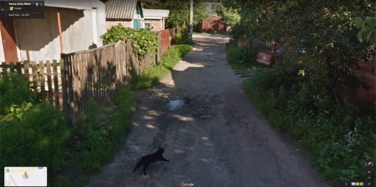 Black cat crossed the road - STREETVIEWFUN
