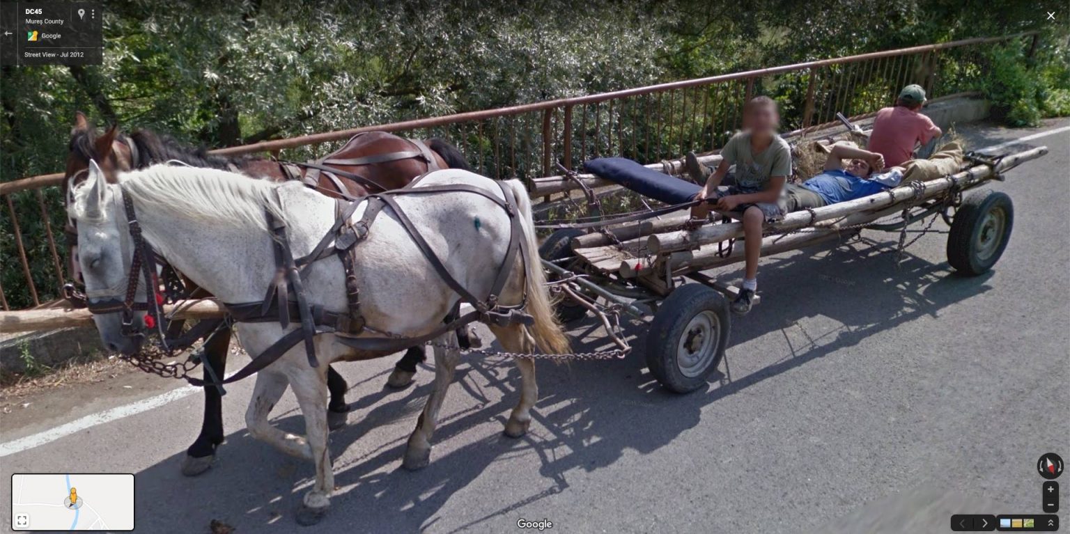 Zombie horse and the sleeping man - STREETVIEWFUN