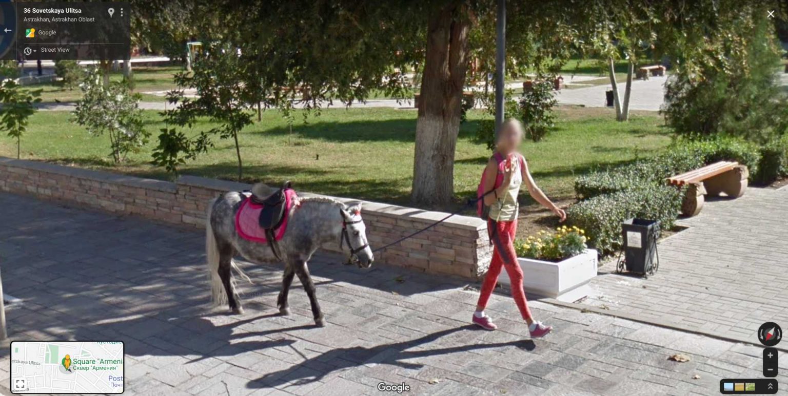 Pet pony walk – STREETVIEWFUN