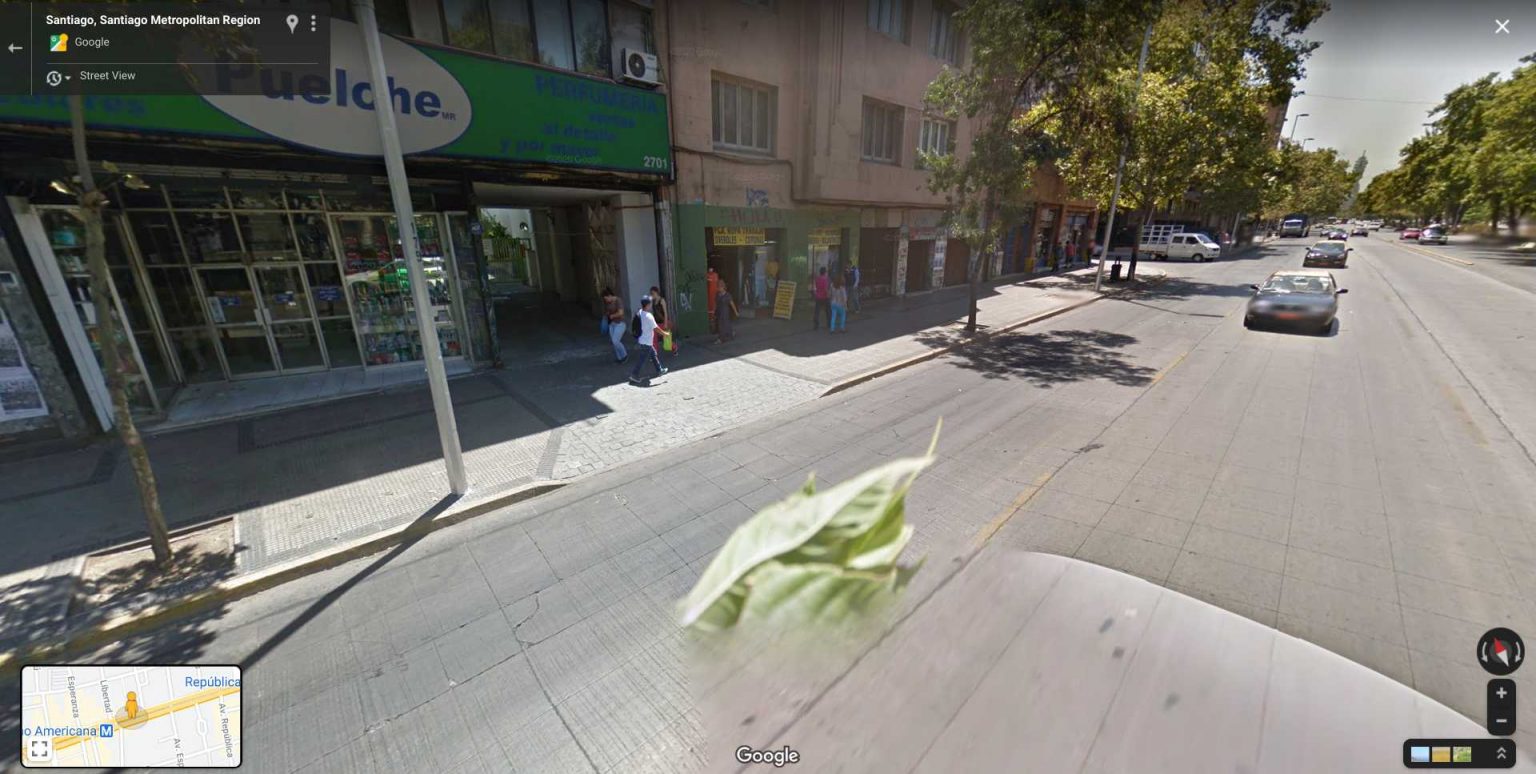 Flying Leaf – STREETVIEWFUN