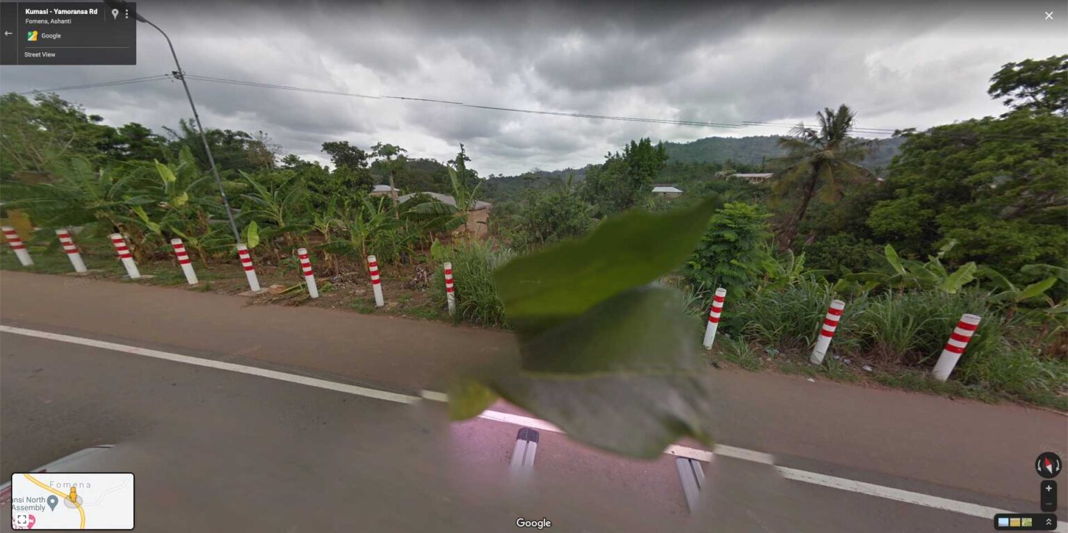 Leaf stuck on camera - STREETVIEWFUN