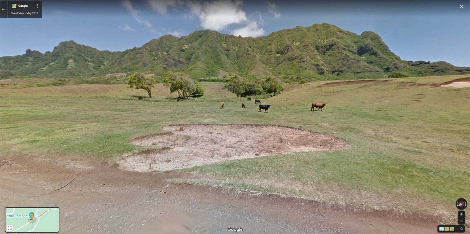 Godzilla footprint - STREETVIEWFUN