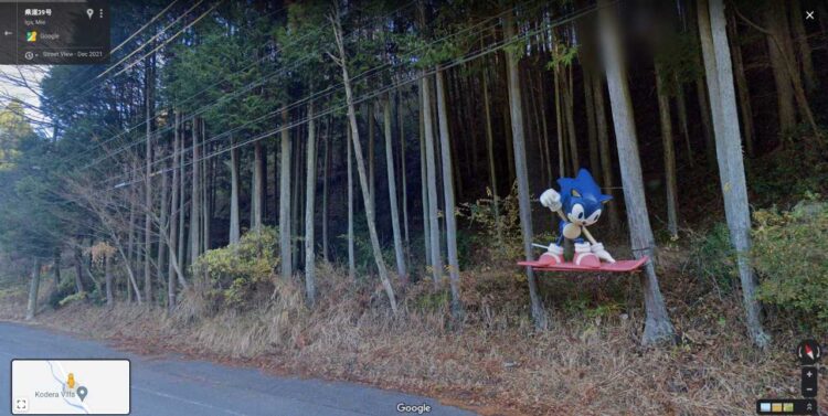 StreetViewFun - Funny Street View Google Maps images