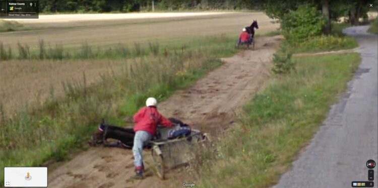 Horse fail - STREETVIEWFUN